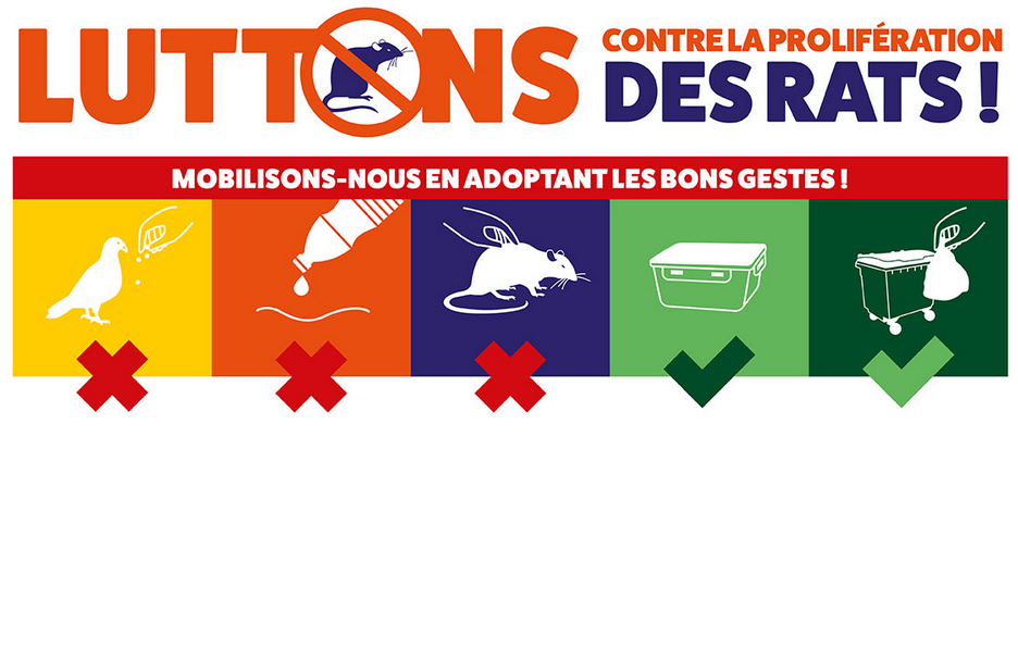 Dératisation - Saint Jean de la Ruelle